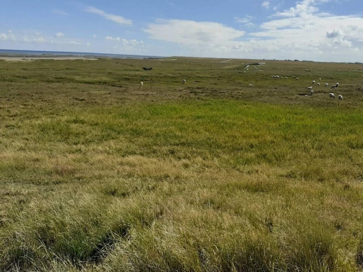 Maison De Vacances Pour 5 A Rømø-by Traum - Rømø