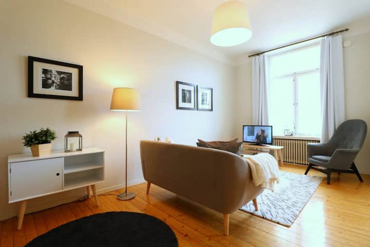 Spacious One-room Apartment In Punavuori - Helsinki