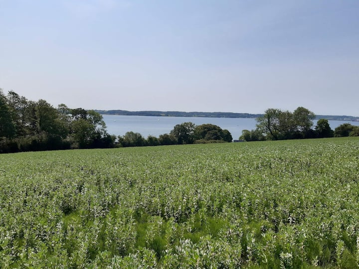 Maison De Vacances Pour 4 A Aabenraa-by Traum - Aabenraa