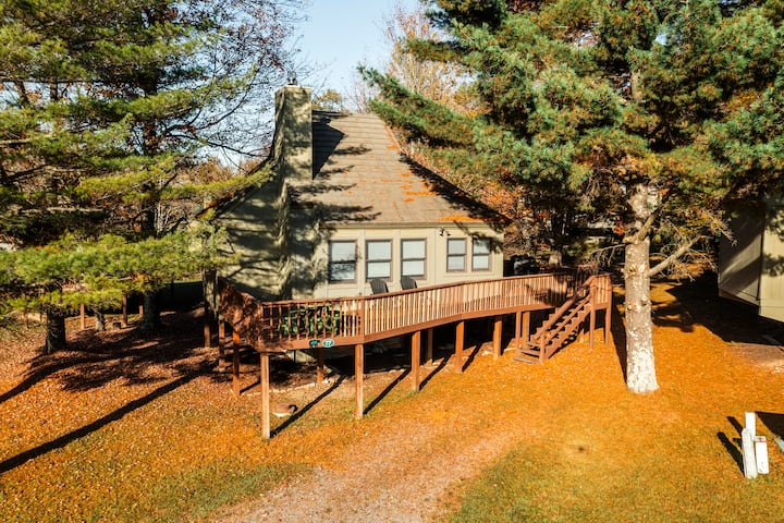 Bear Paw Cabin - Davis, WV