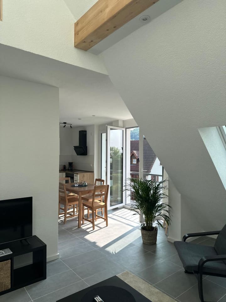 Ferienwohnung Seescheune 2 - Bodman-Ludwigshafen