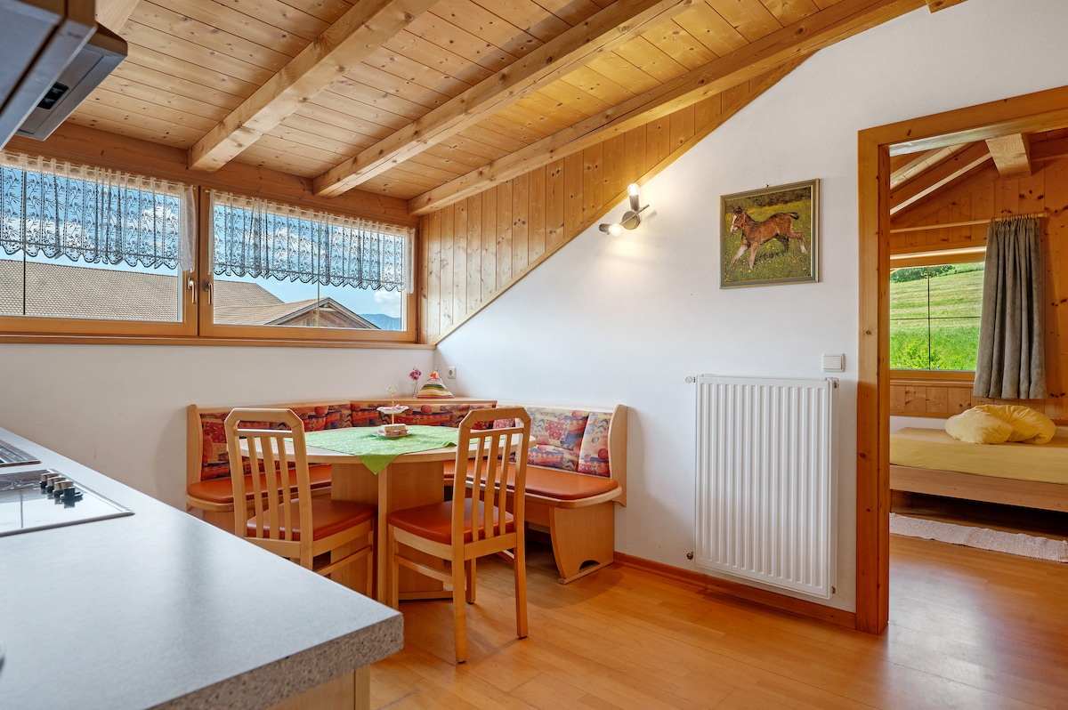 Neu-Schötzerhof summer meadow - Flats for Rent in Meltina, Trentino ...