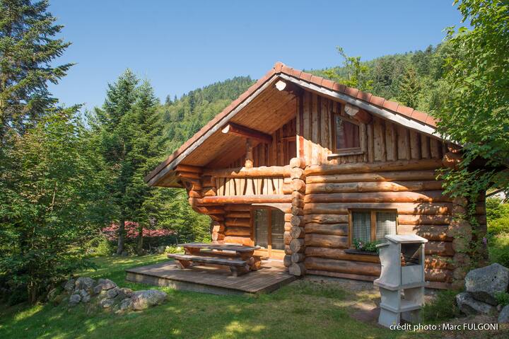 Magnifique Chalet Rondins De 130 M² Tout Confort à - Lorraine