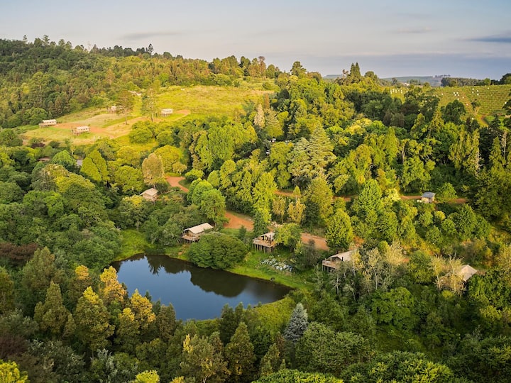 Glamping Tent For Couples In Magoebaskloof - Haenertsburg