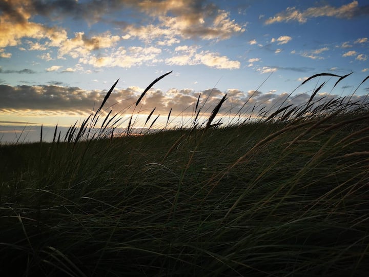 Maison De Vacances Pour 4 A Blåvand - Blåvand