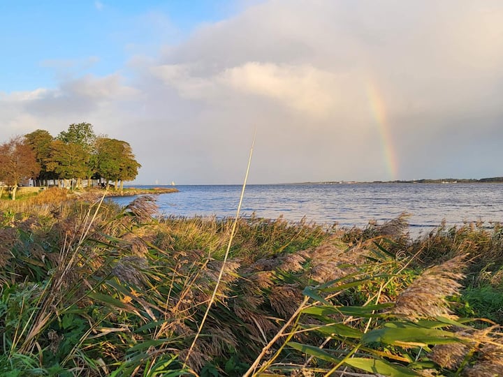 Maison De Vacances Pour 12 A Storvorde-by Traum - Danemark