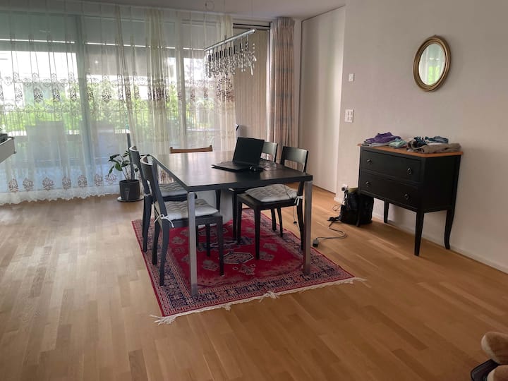 Bright Apt By Gofi Hill Trails & Lenzburg Castle - Canton d'Argovie