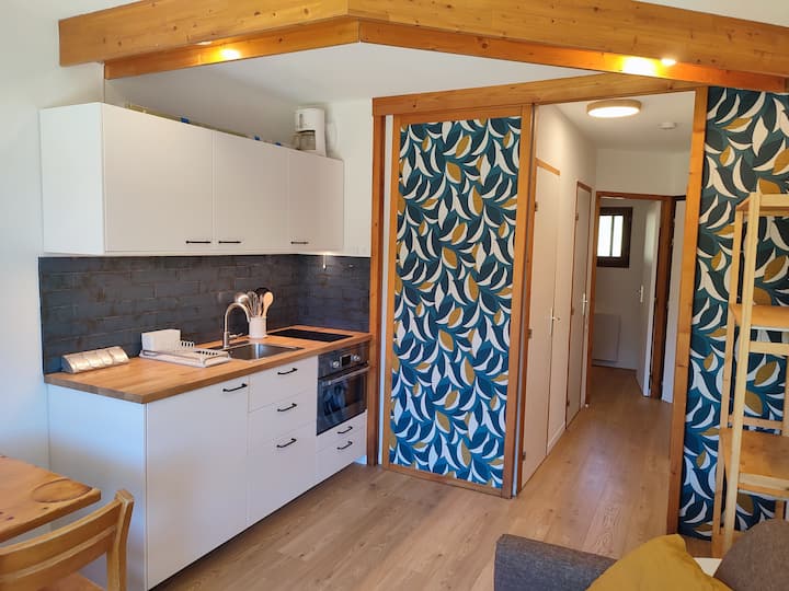 Les Cimes - Vue Grand Veymont - Gresse-en-Vercors