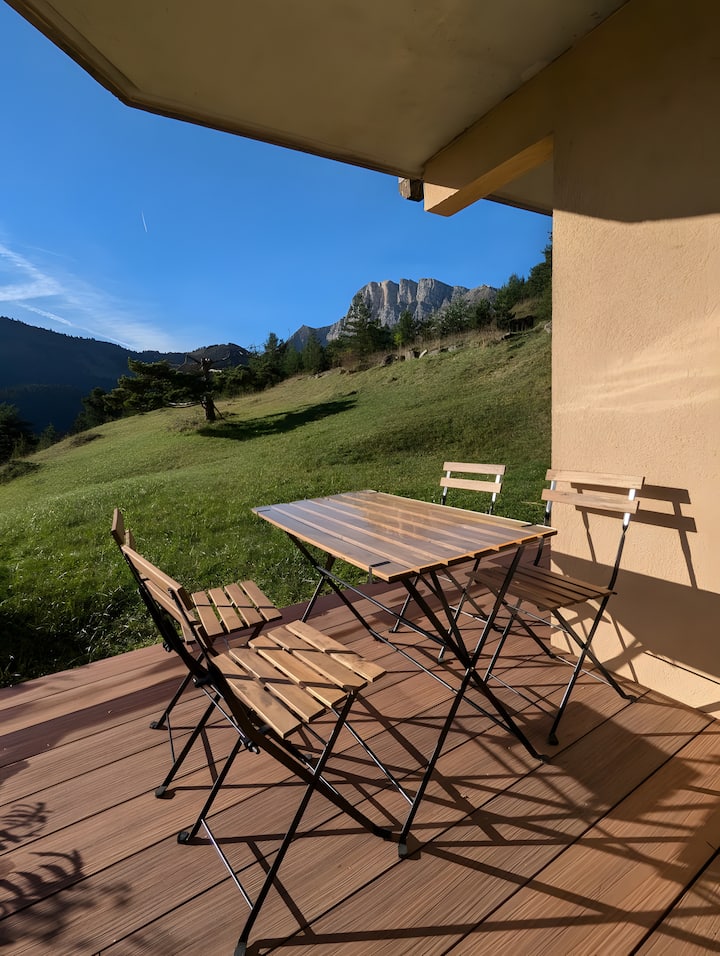 La Canopée - Vue Grand Veymont - Gresse-en-Vercors