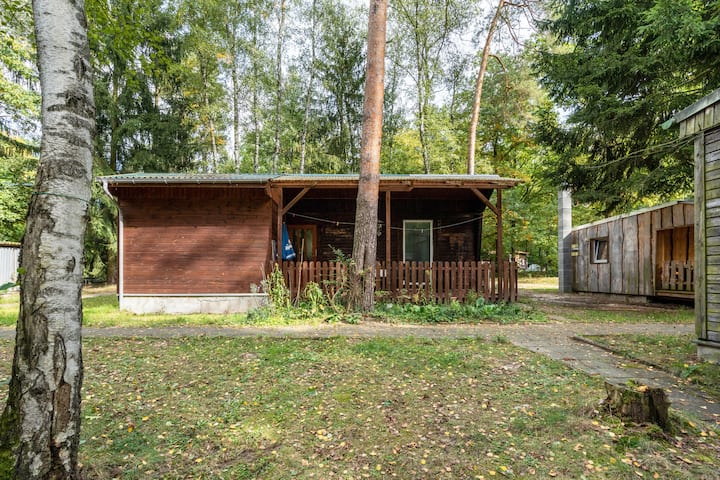 Bungalow 18 - Finnhütte - Niesky