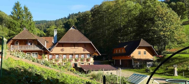 Blumenwiese (298254) - Oberharmersbach