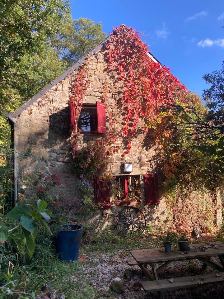 Gîte De Bieuzy Close To The River - Pontivy