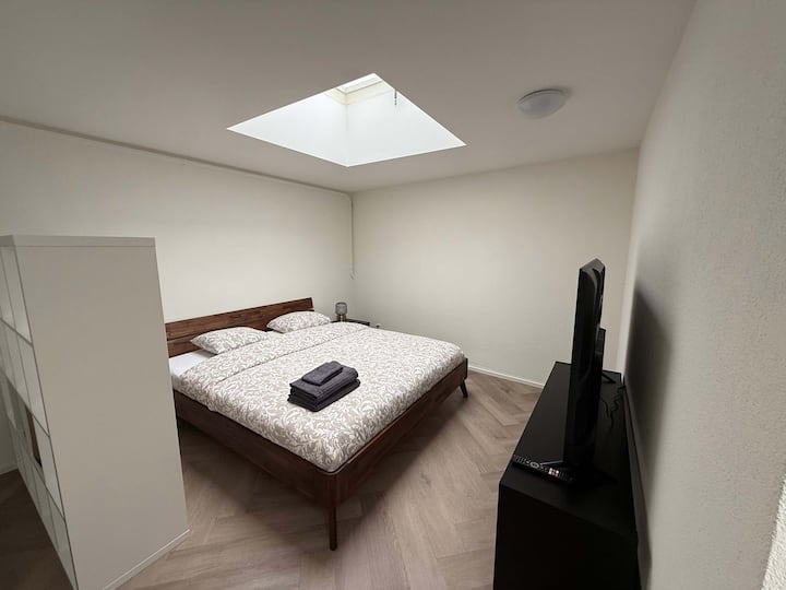 Newly Renovated Studios In Basel City + Basel Card - Basel
