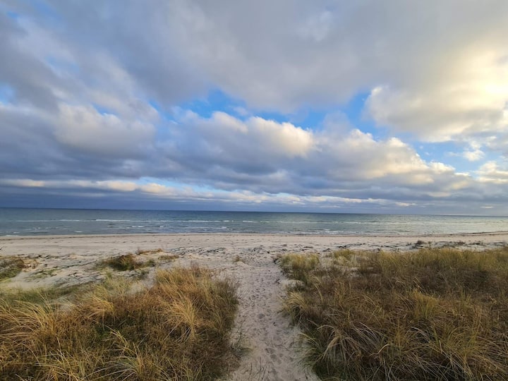 Maison De Vacances Pour 10 A Væggerløse-by Traum - Denmark