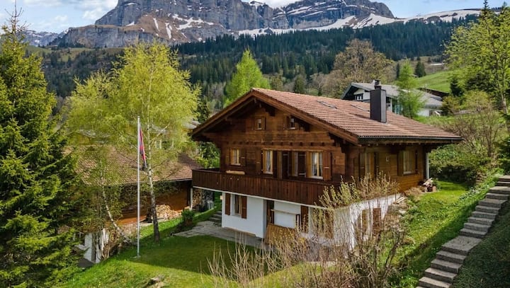Chalet Specht - Brienz