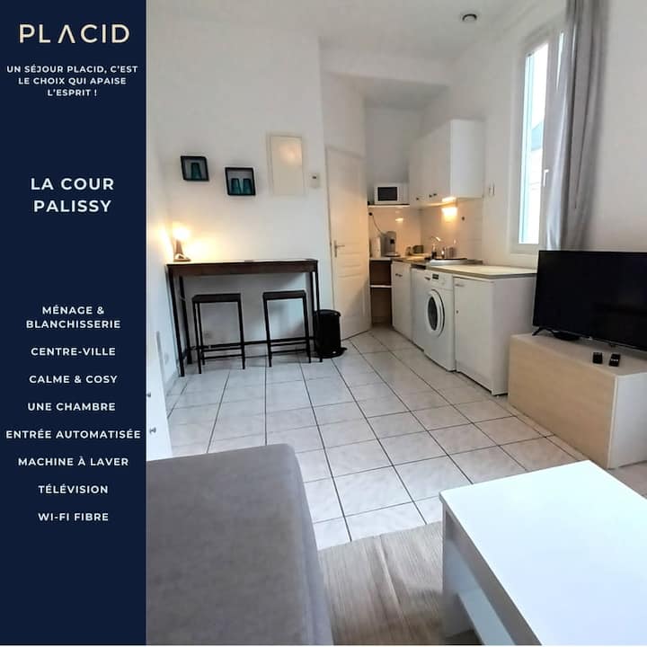 Cour Palissy - T2 - Gare 2 Min - Cathédrale - Wifi - Tours