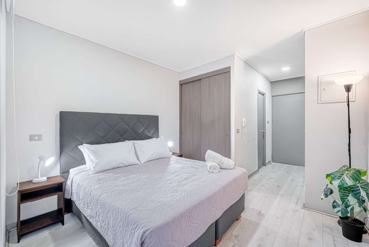 Carmen Studio - Wifi, Estacionamiento, Gym, Metro - Santiago