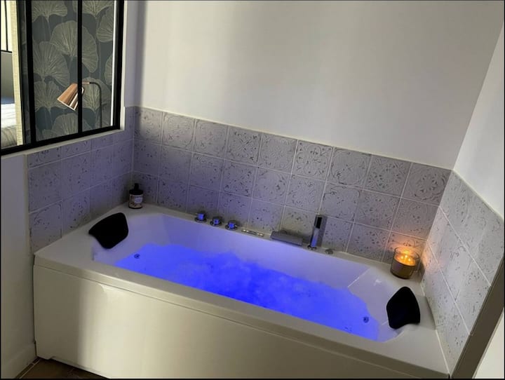 Charmant Studio Balnéo Wifi Borne Electrique - Vierzon