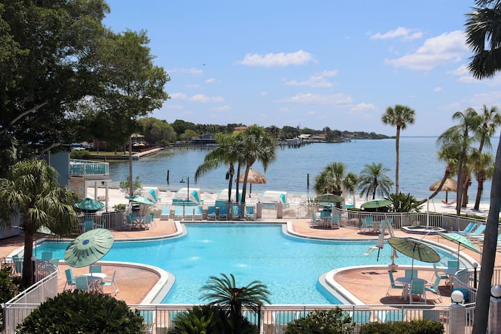 3 Units | Perfect Haven Near St. Pete Beach - St. Petersburg, FL