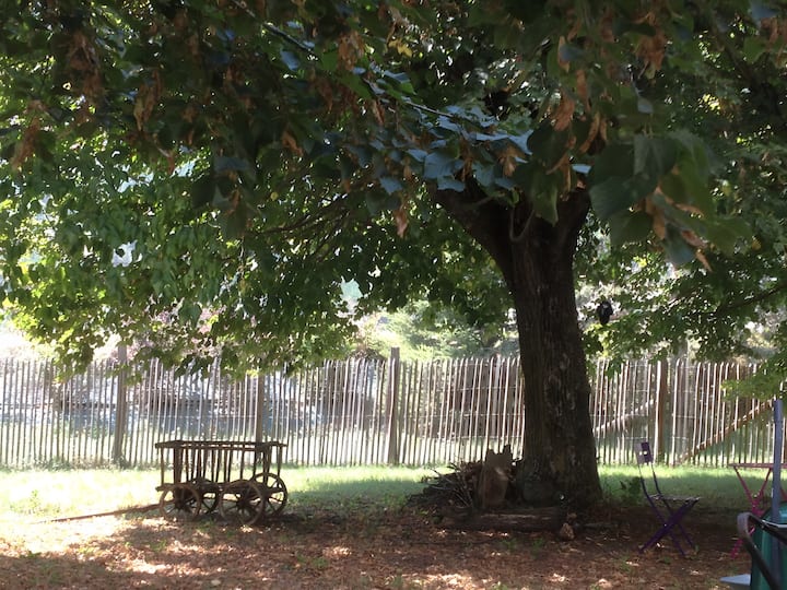 L'eco-logis Du Clos Des Tilleuls - Die