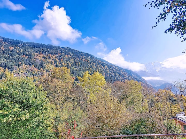 Beaulieu By Interhome - Saint-Gervais-les-Bains