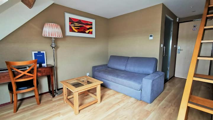 Amsterdam Cottage By Chassé Hotel - Zaandam