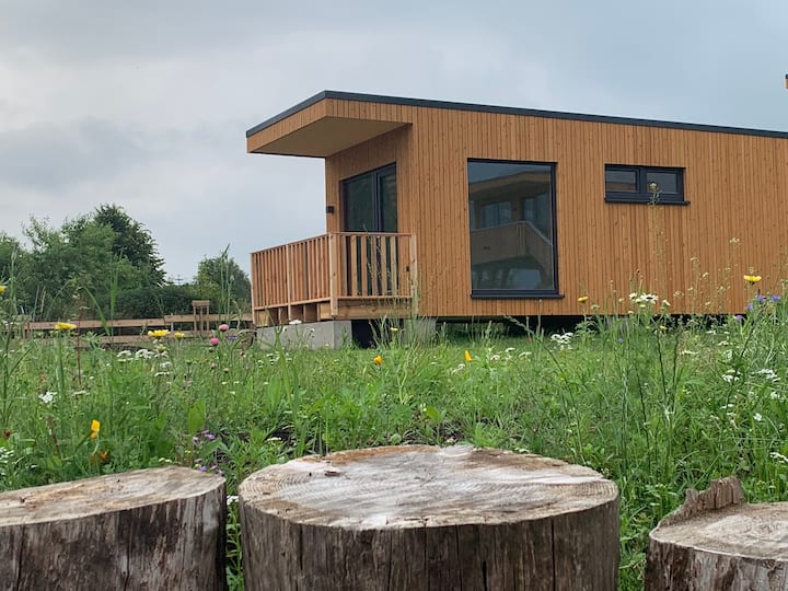 Modulhaus Kanalratte-lodge-patio-confort-salle De - Albersdorf