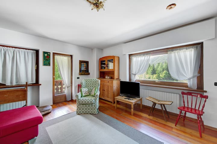 Appartamento Serdes Big C2 - San Vito di Cadore