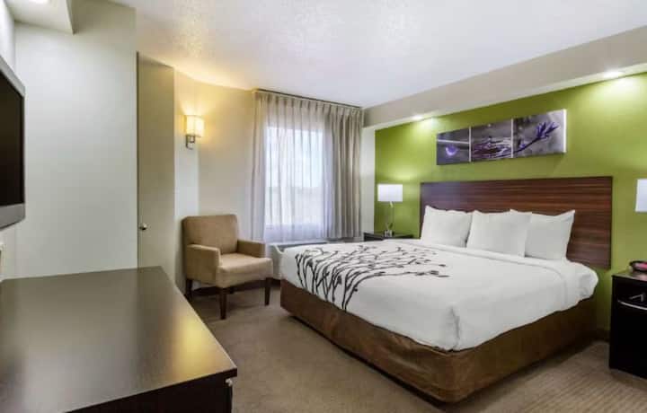 Tranquil Hideaway Near Imax Dome Theater Fun - Tampa, FL