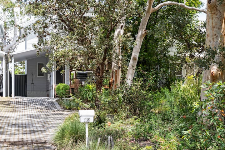 Scribbly Gums Callala Beach - Callala Bay