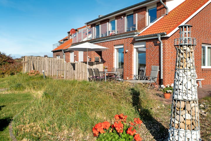 Strandflieder - Borkum