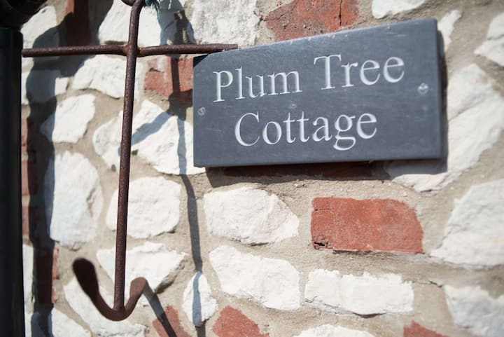 Plum Tree Cottage - Burnham Market - Burnham Market