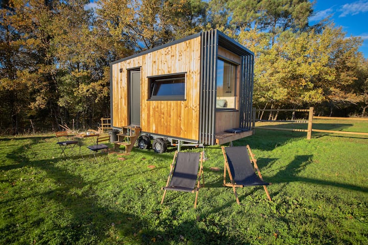 Homnest ※ Prairie Des ÂMes Heureuses ※ Occitanie - Graulhet