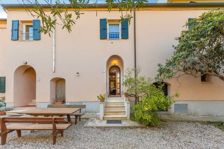 Menta - Rosignano Marittimo