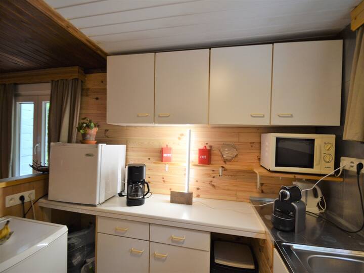 Chalet Confortable Avec Barbecue - Viroinval