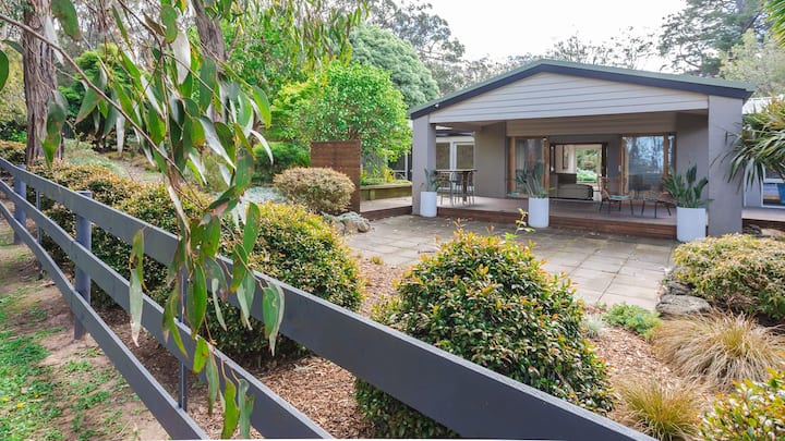 The Vines - Shoreham