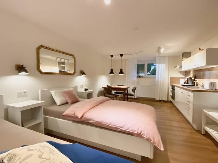 Studio-apartment, 32 Qm - テュービンゲン