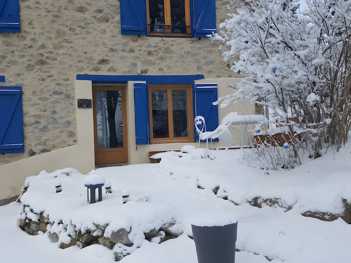 Sorbier Des Oiseaux - Matemale