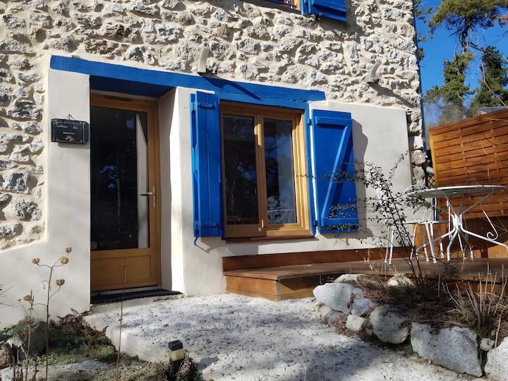 Sorbier Des Oiseaux - Les Angles