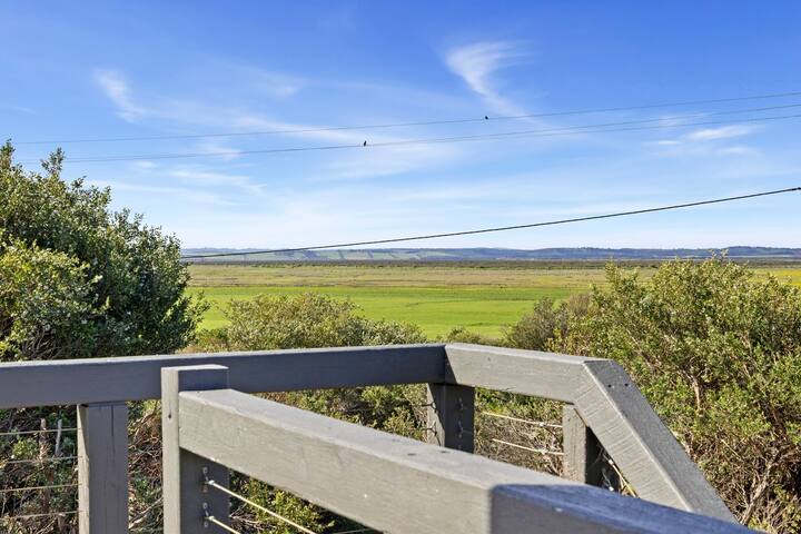 Amanda Dunes - Venus Bay