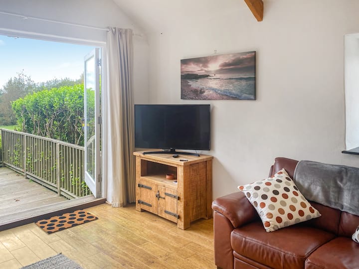 Swallows - Portscatho