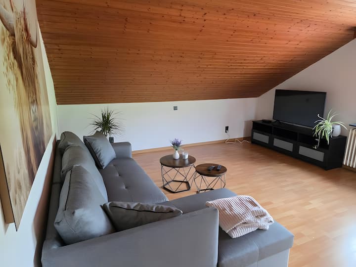 Gemütliches Apartment - Albbruck