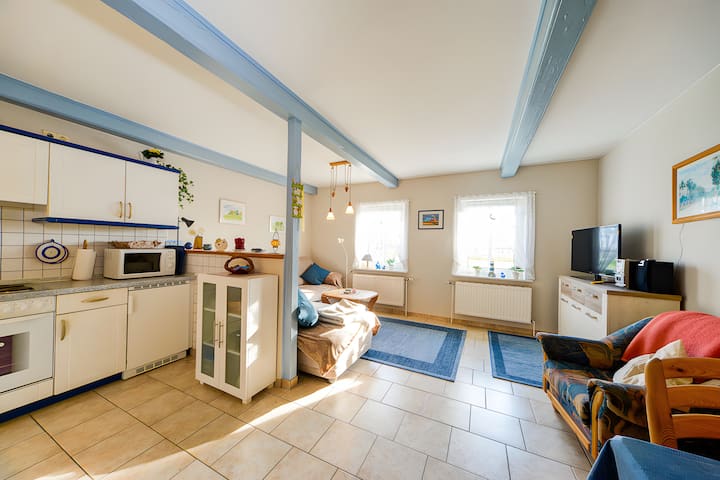 Fewo Schimmelreiter - Pellworm