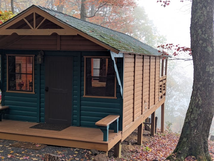 Falcon's Perch Cabin With Long-range Views - Black Mountain, NC
