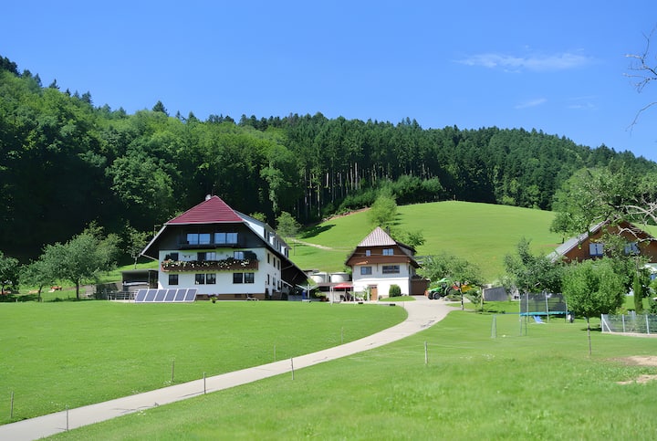 Vordersbergerhof - Schwarzwald