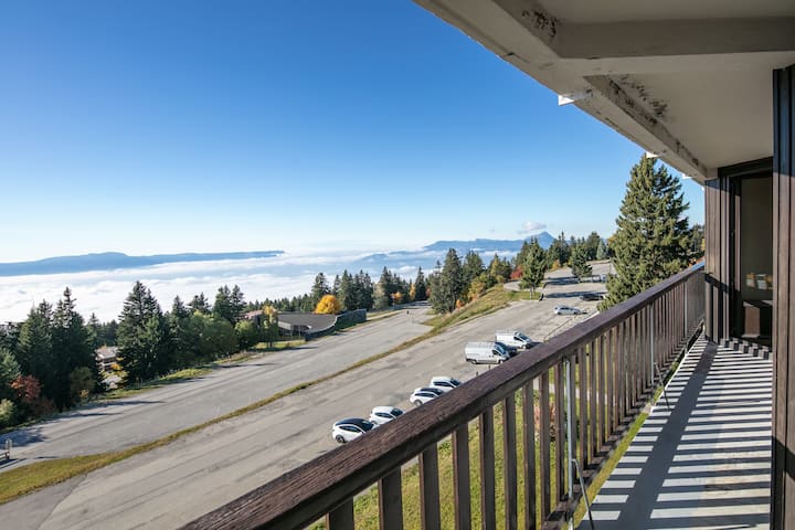 Panoramic 505 - Vue Sur La Chaîne Du Vercors - Isère