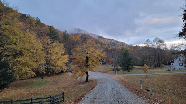 Azalea - Spectacular Views, Private Covered Porch - Blairsville, GA