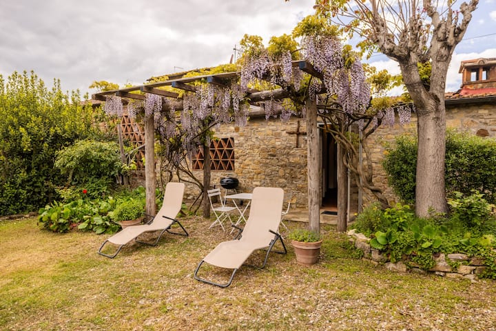 Vallone Di Cecione Parata Flat - Radda in Chianti