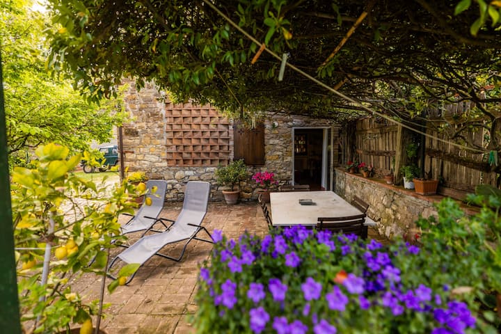 Vallone Di Cecione Pergola Flat - Radda in Chianti