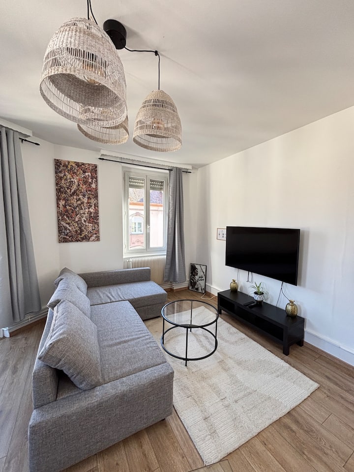 Soh Rent Appartement Schiltigheim Proche - La Wantzenau